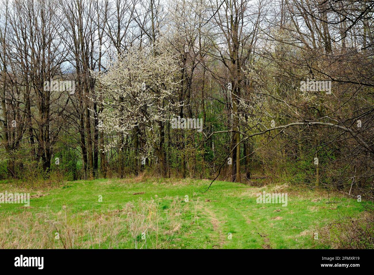 background, beautiful, clear, colorful, country, countryside ...