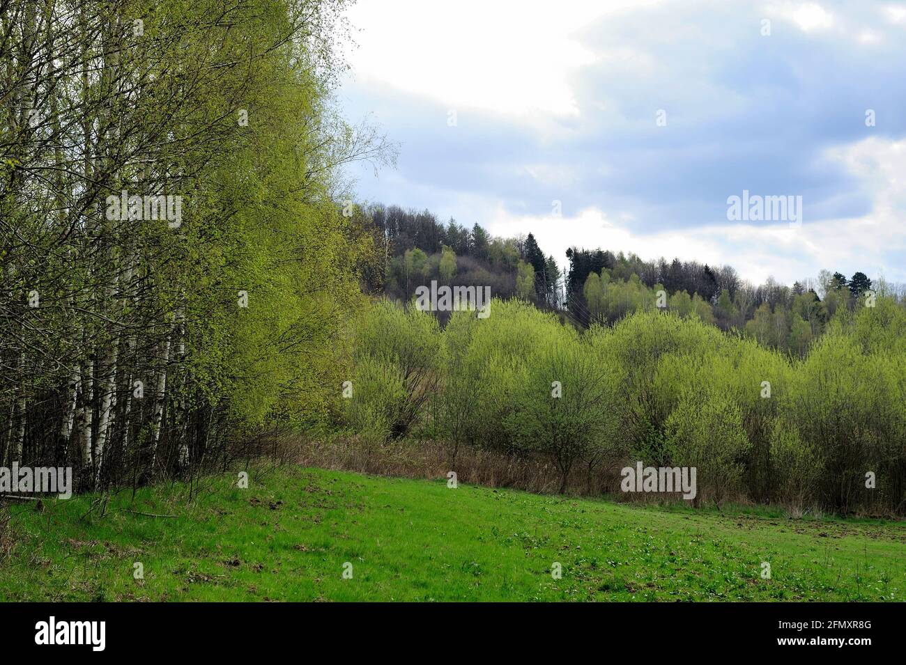 background, beautiful, clear, colorful, country, countryside ...