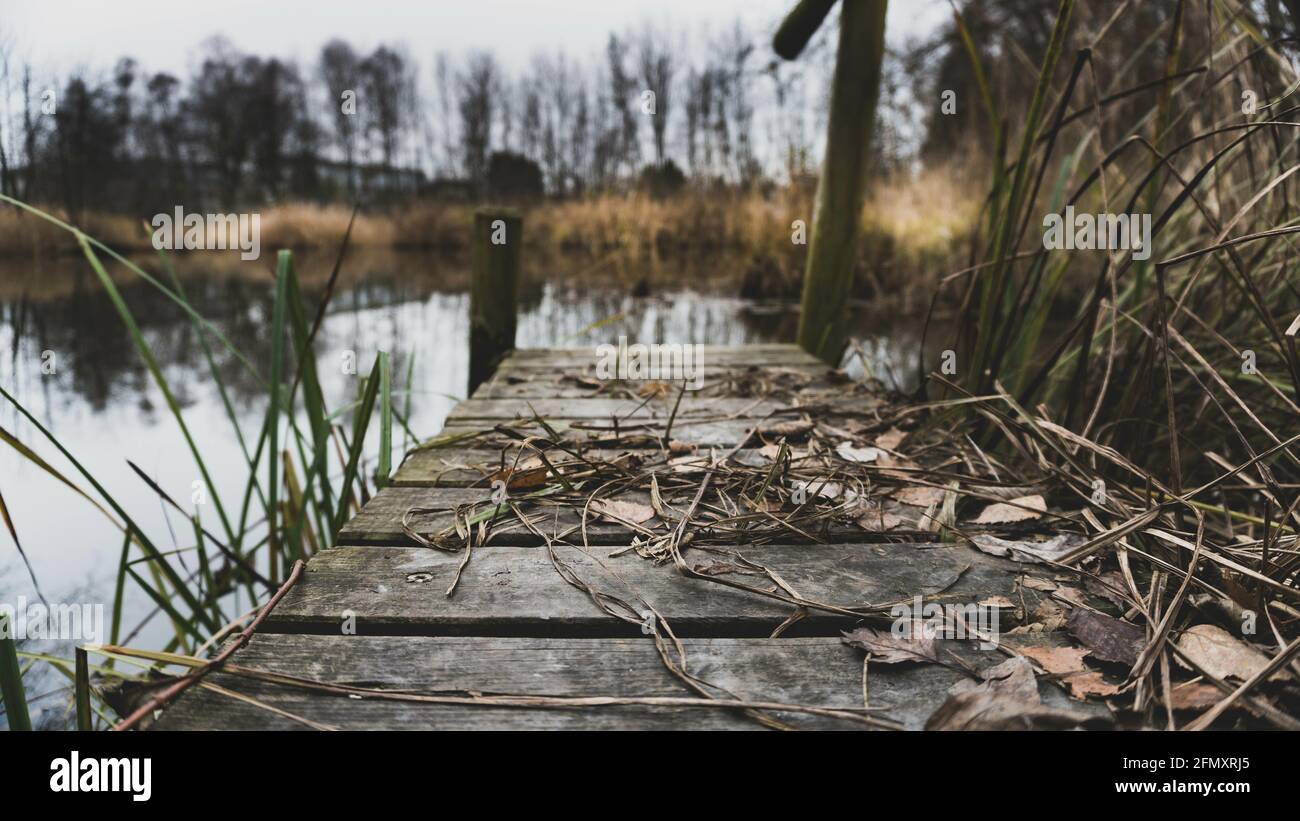 Closeup shot of an old wooden dock in the lake Stock Photo - Alamy