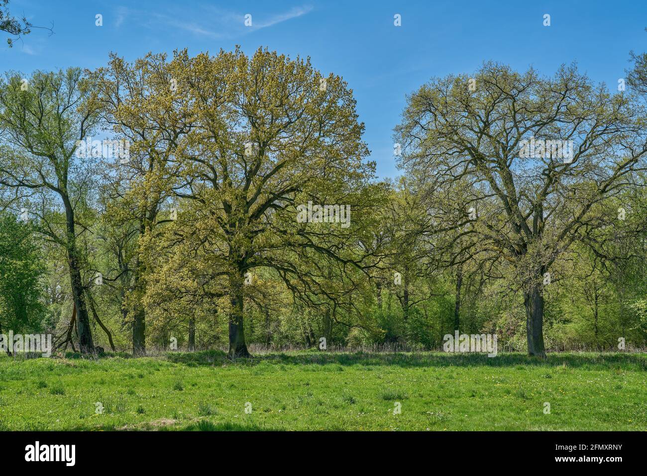 Spring rural landscape Lower Silesia Poland Stock Photo - Alamy