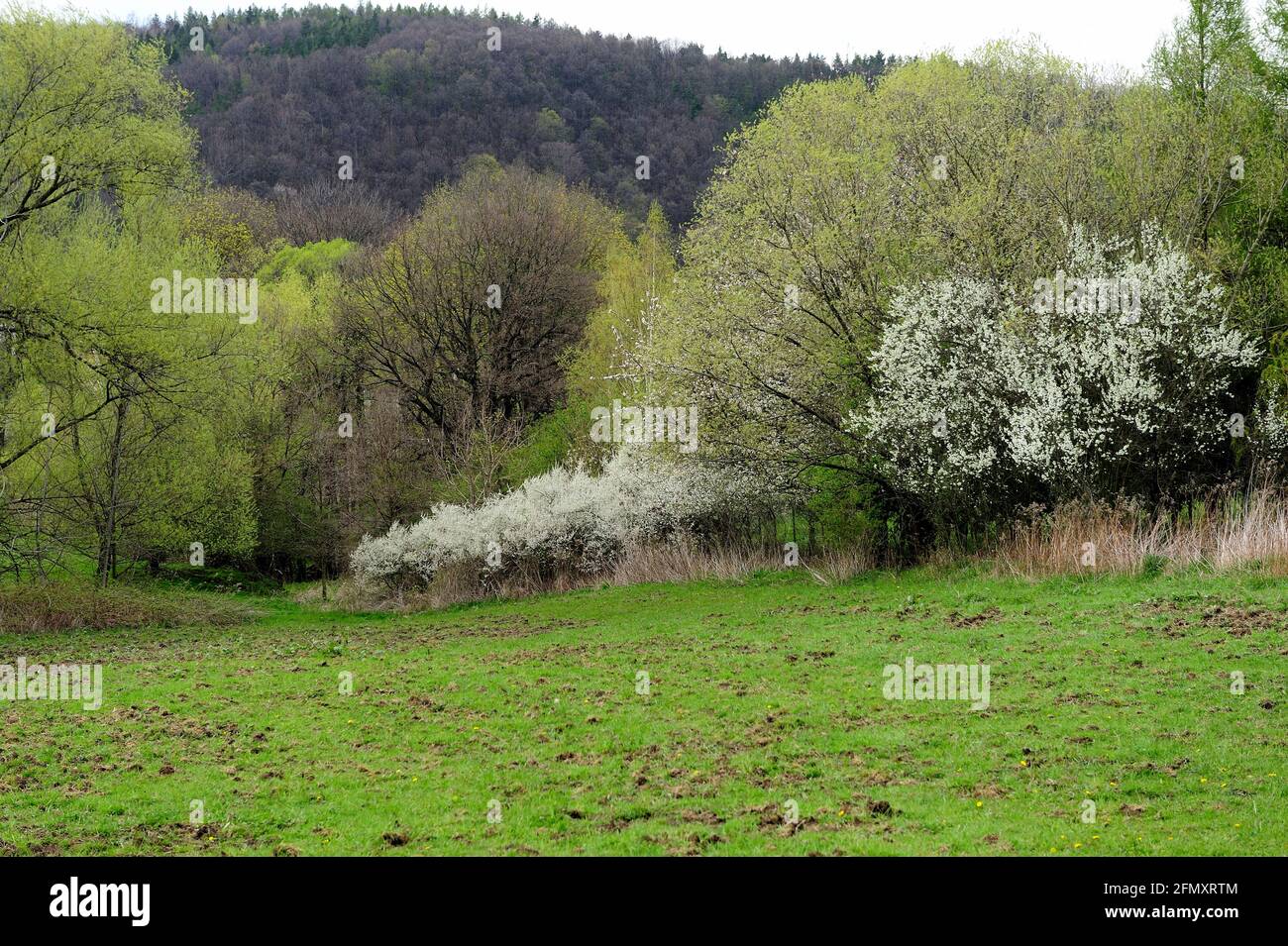 background, beautiful, clear, colorful, country, countryside ...