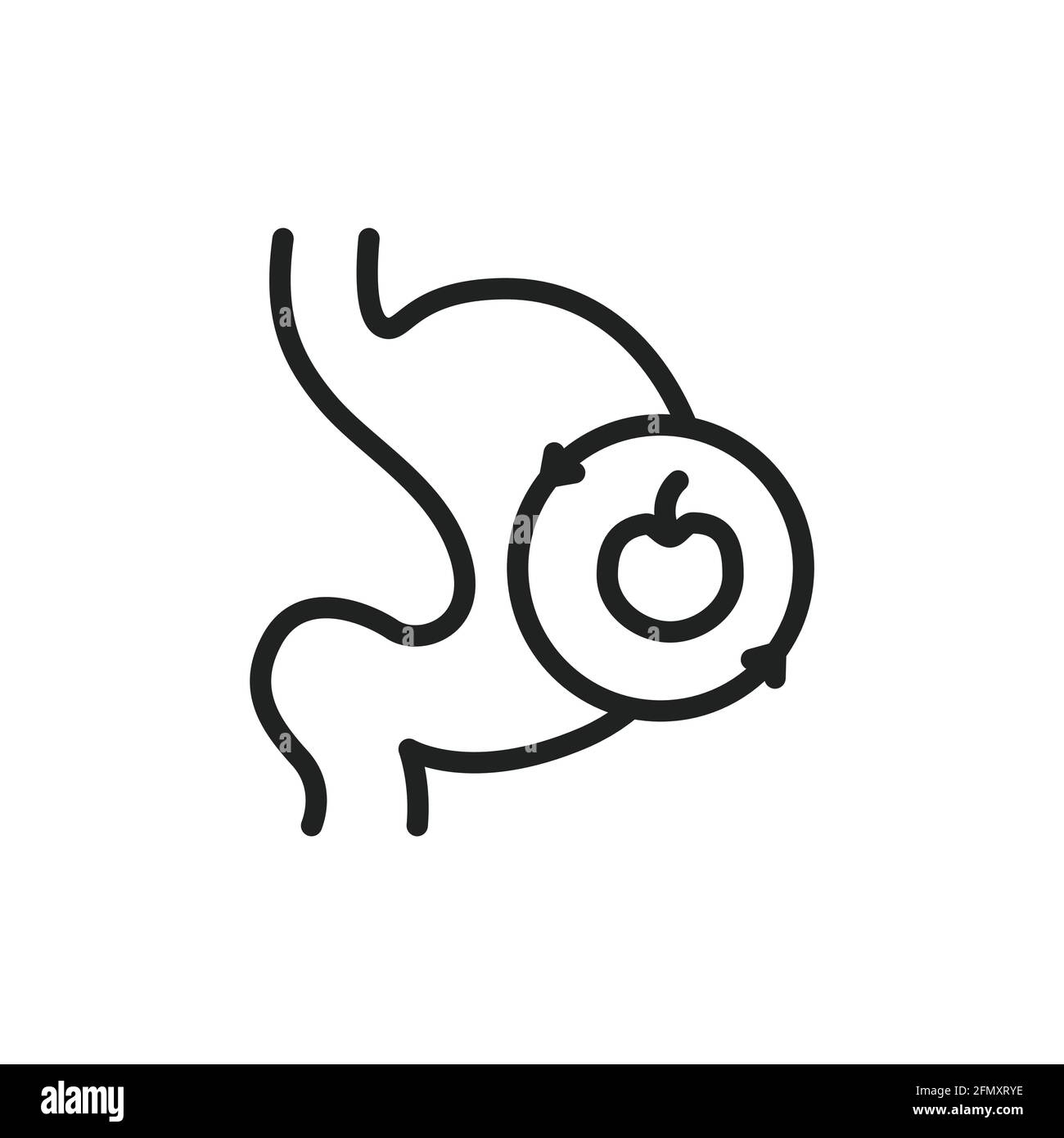 Digestion food line icon. Isolated vector element Stock Vector Image ...