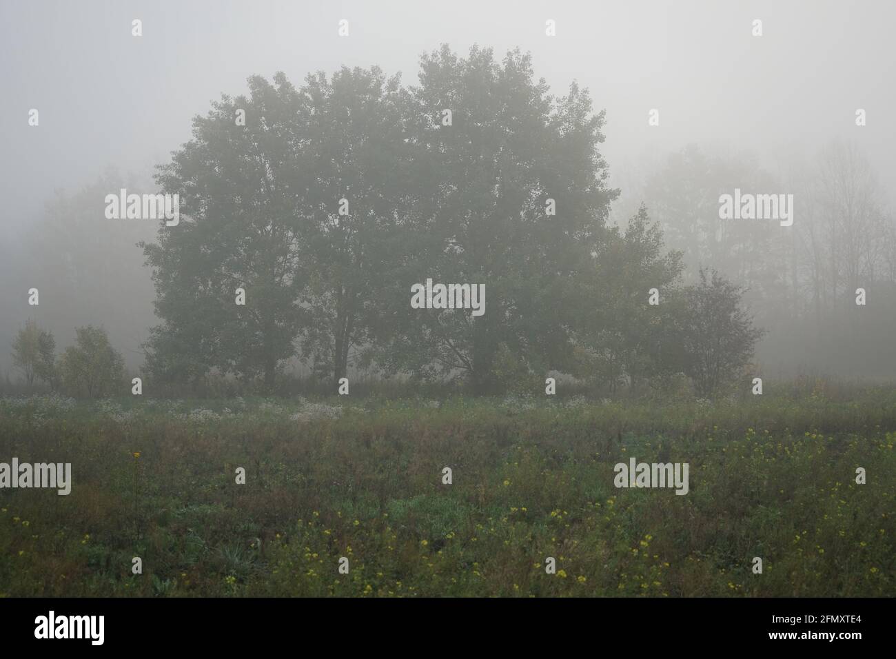 Former open pit mine becomes lake hi-res stock photography and images ...