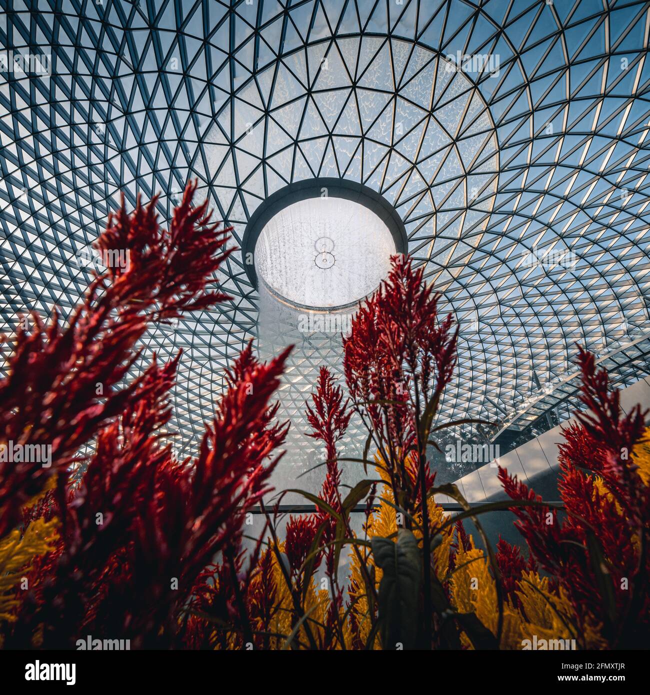 Artificial waterfall structure in Jewel terminal in Changi Airport ...