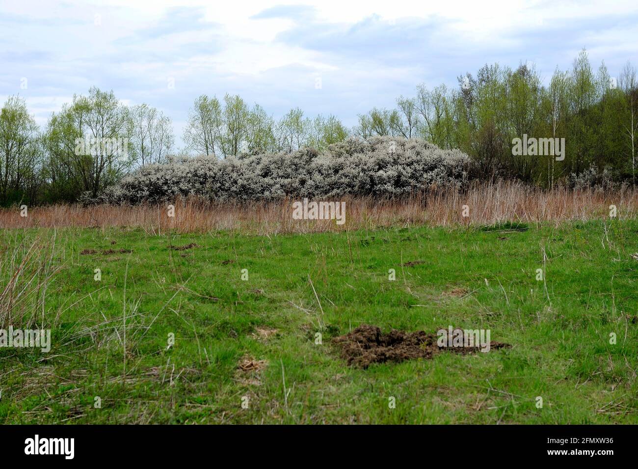 background, beautiful, clear, colorful, country, countryside ...