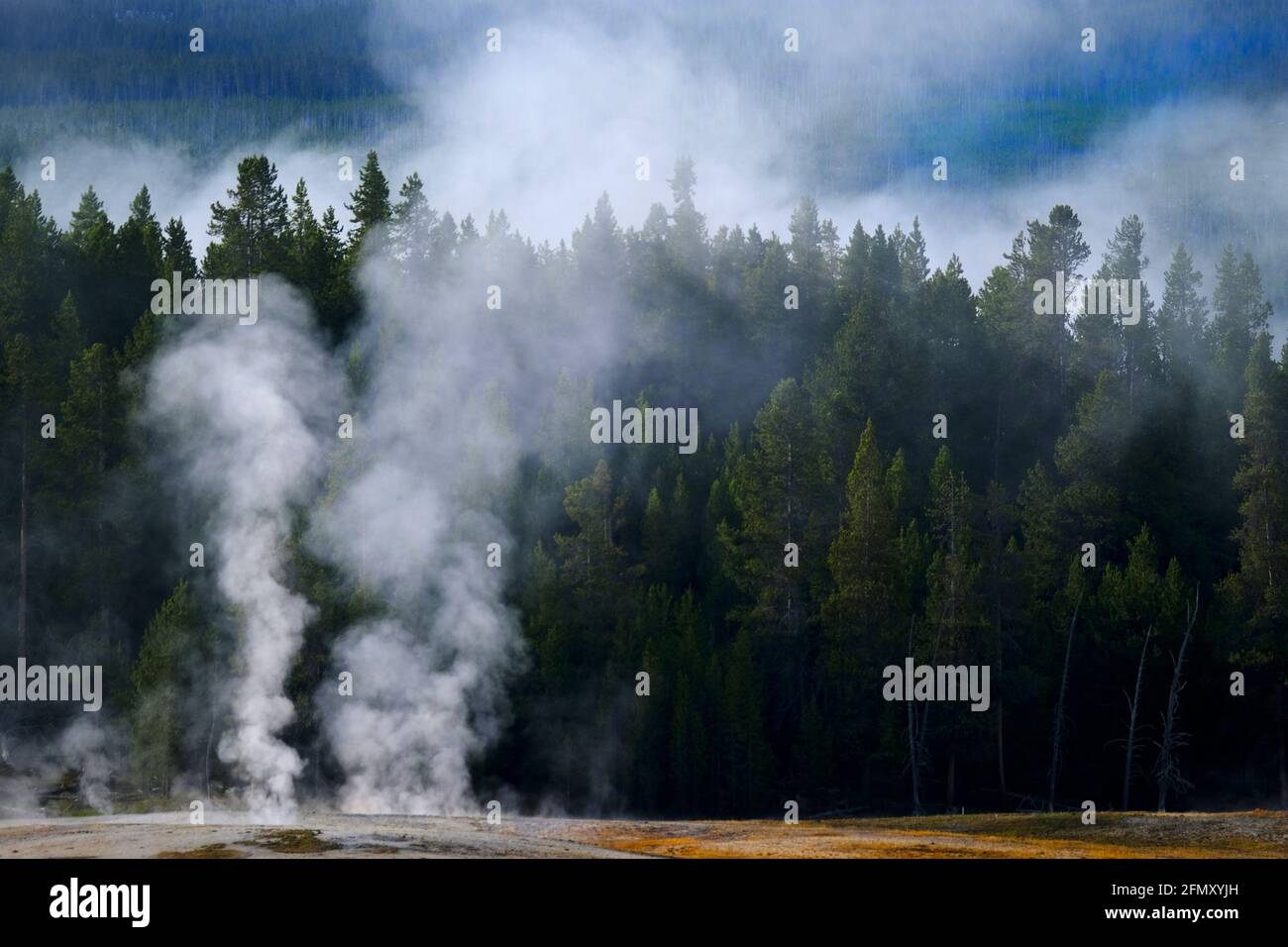 Steam rising from hot springs and geysers in Yellowstone National Park ...