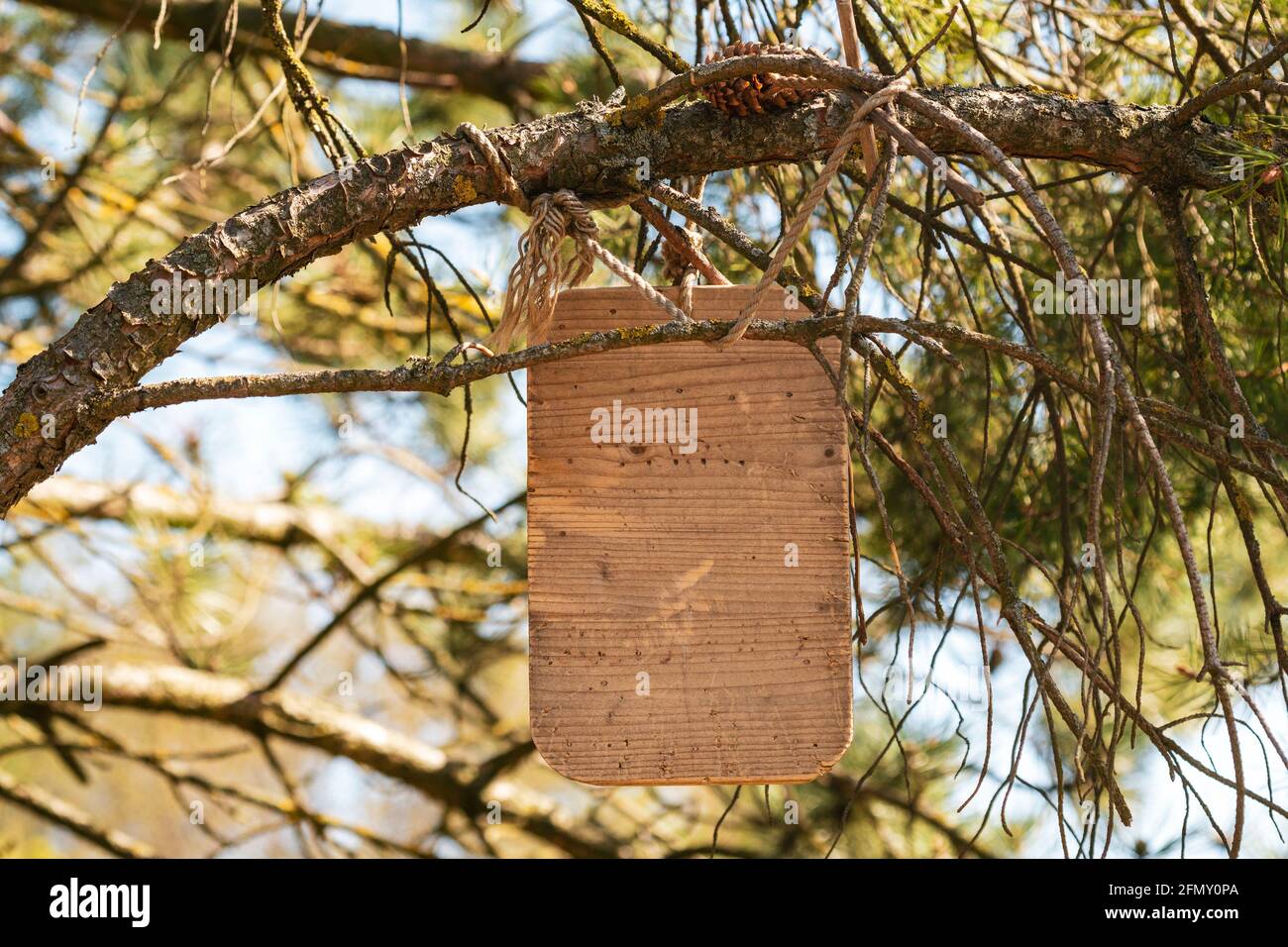 Light wood rustic sign board hanging on a pine tree. Copy space Stock ...