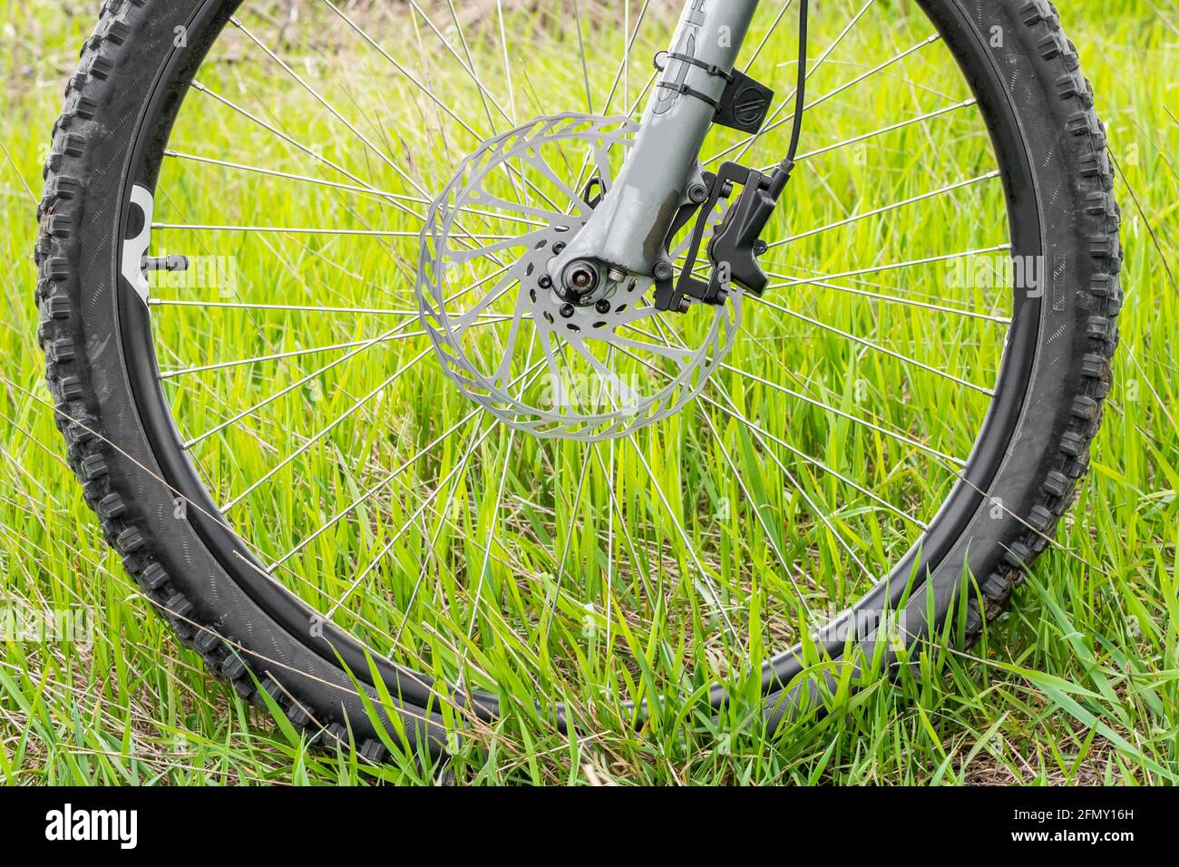 Fork and front wheel of a mountain bike with a 203 mm rotor on a ...