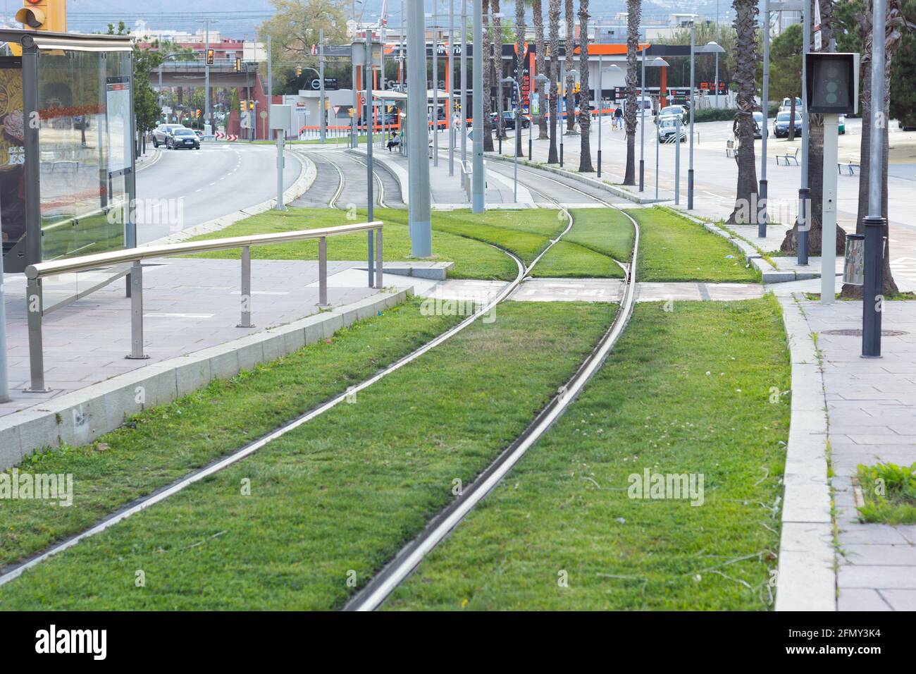 Rails on urban tramway grass; Metallic tracks on which the electric ...