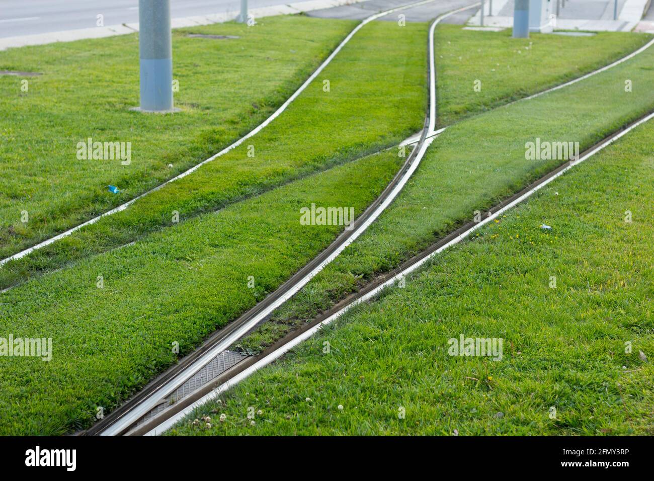 Rails on urban tramway grass; Metallic tracks on which the electric ...