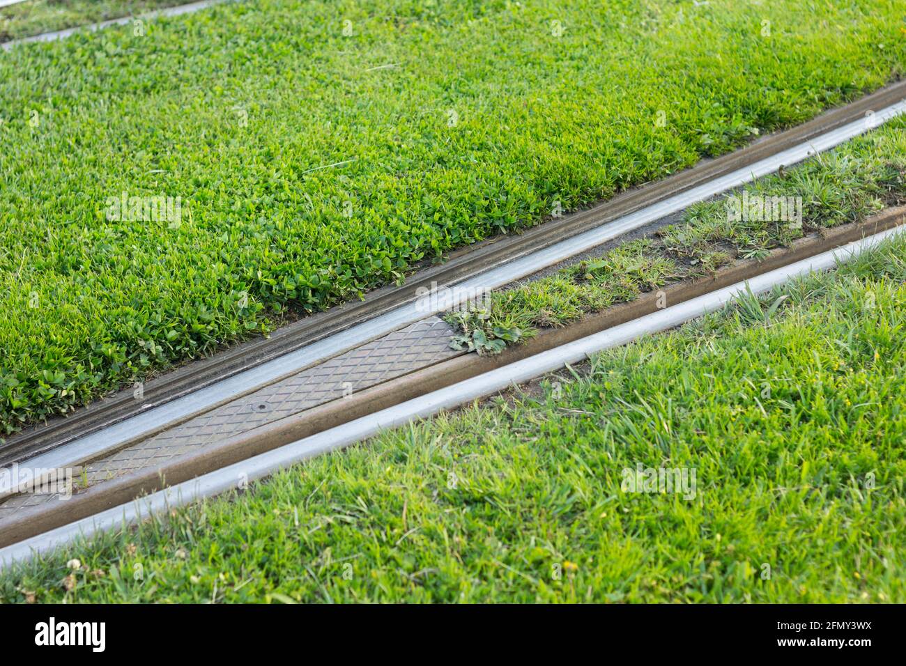 Rails on urban tramway grass; Metallic tracks on which the electric ...