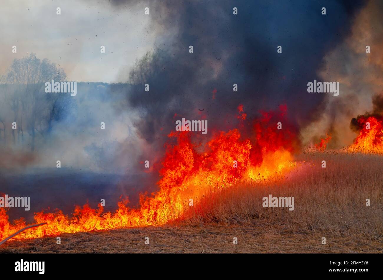 Fireman silhouette raging forest fire hi-res stock photography and ...