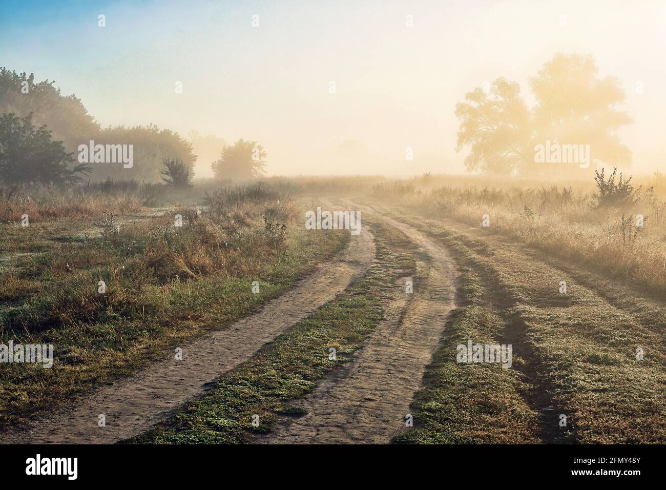 Country road on a foggy autumn morning Stock Photo - Alamy