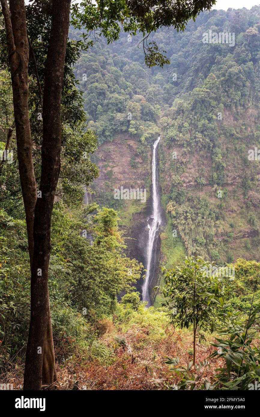 Waterfall, Tadfane Resort, Paksong, Laos Stock Photo - Alamy
