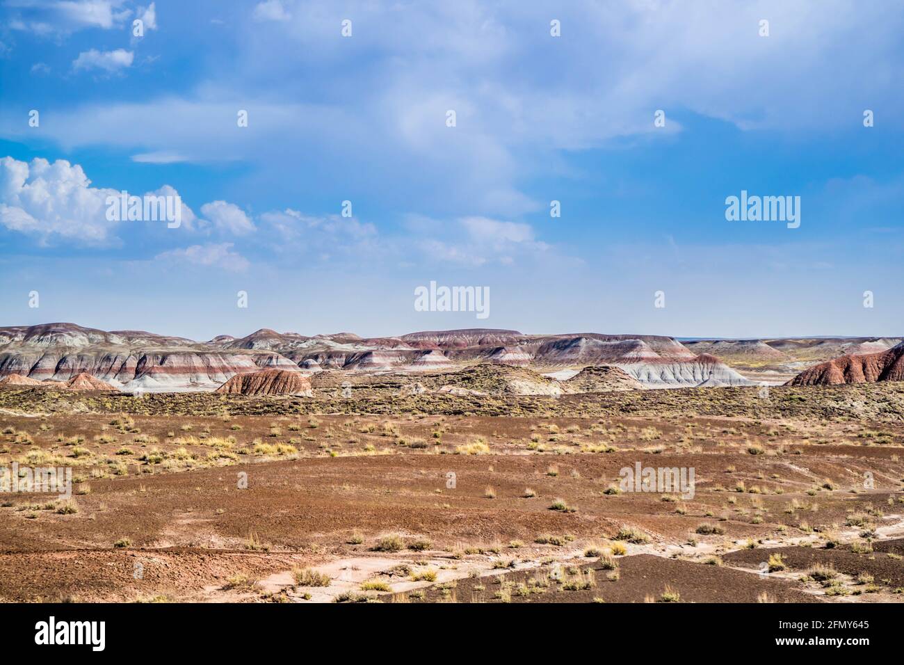 The Blue Mesa Trail in Petrified Forest National Park, Arizona Stock ...