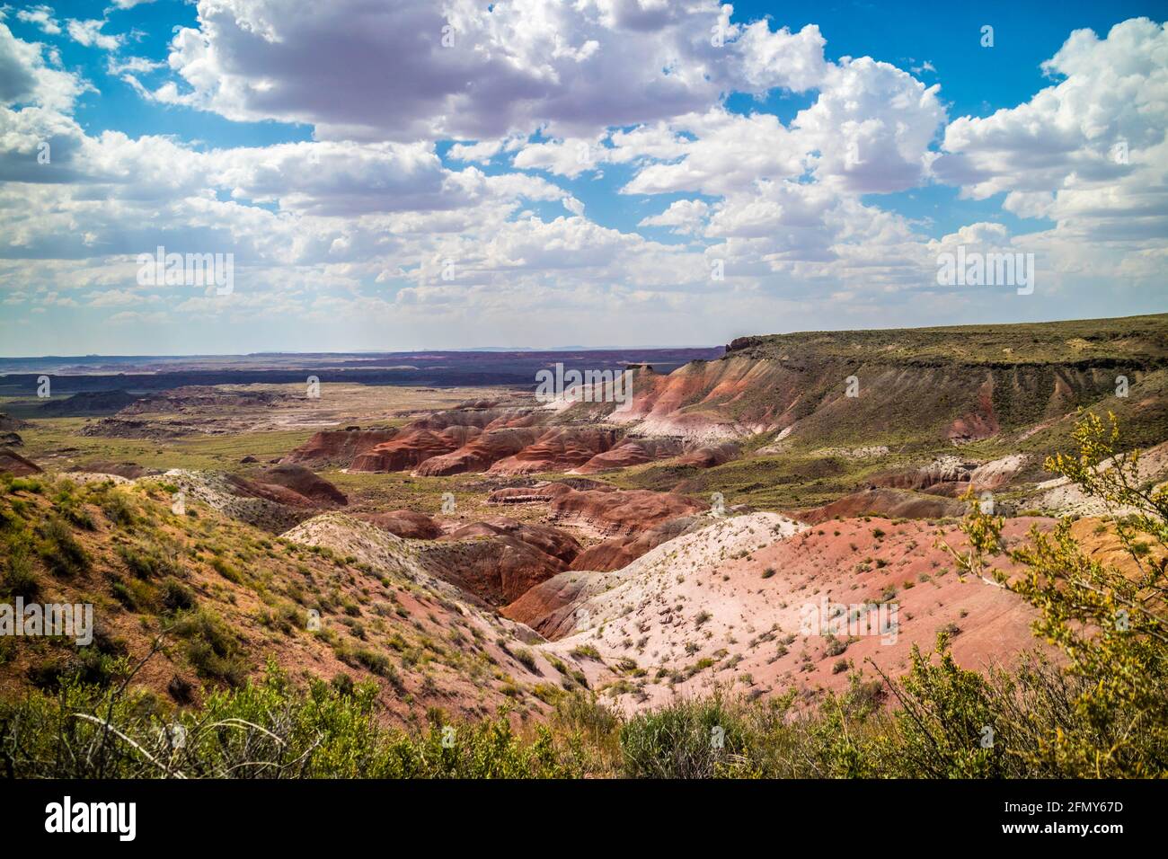 Desert landscape of the beautiful Petrified Forest National Park ...