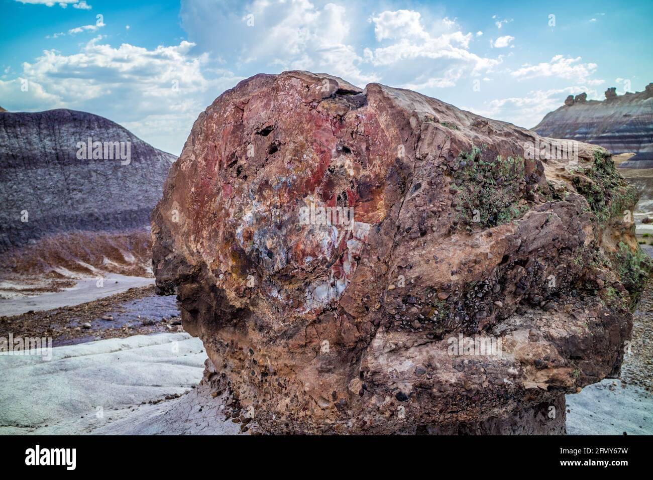 Petrified rocks in Petrified Forest National Park, Arizona Stock Photo ...
