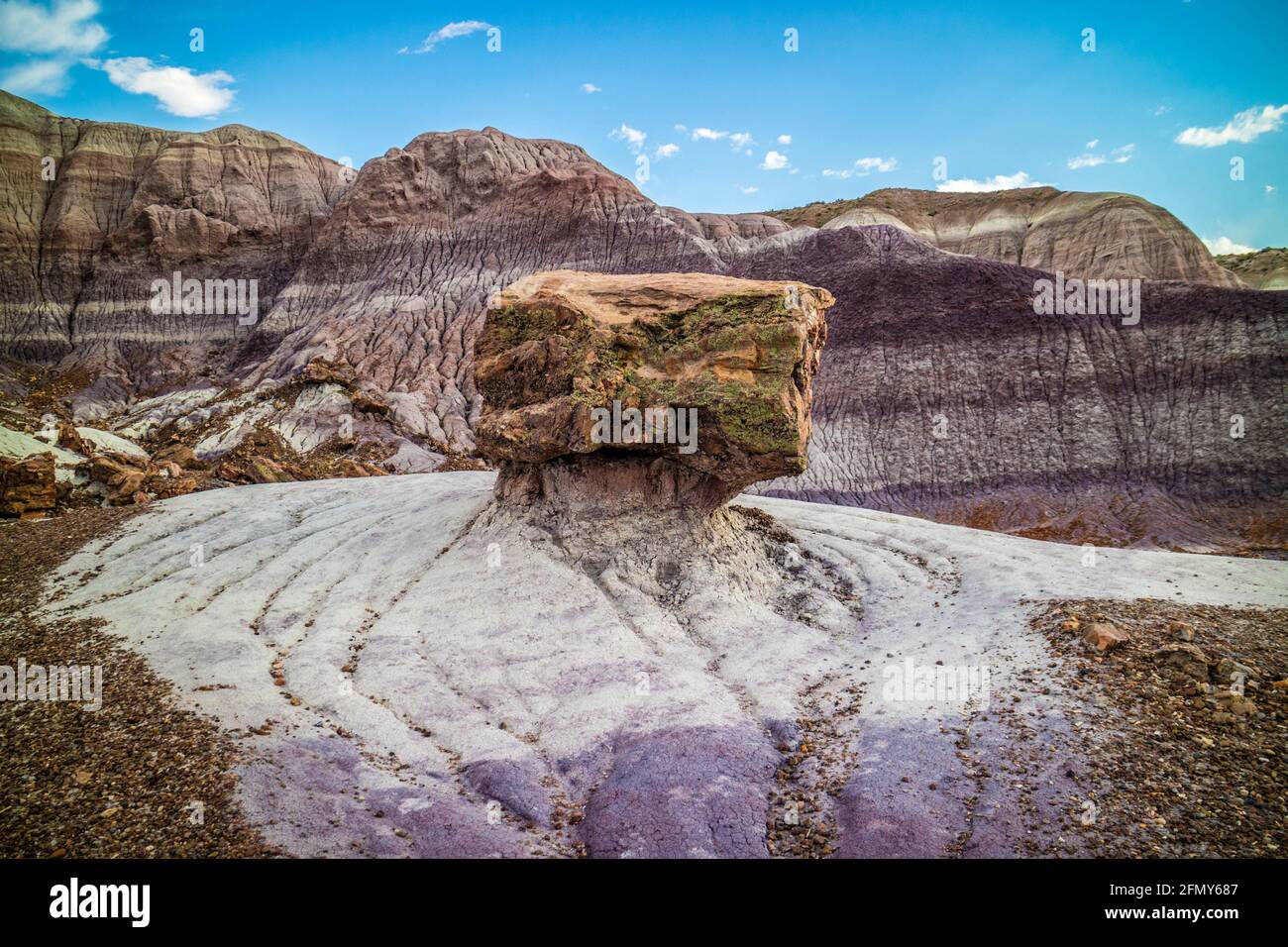 Petrified rocks hi-res stock photography and images - Alamy