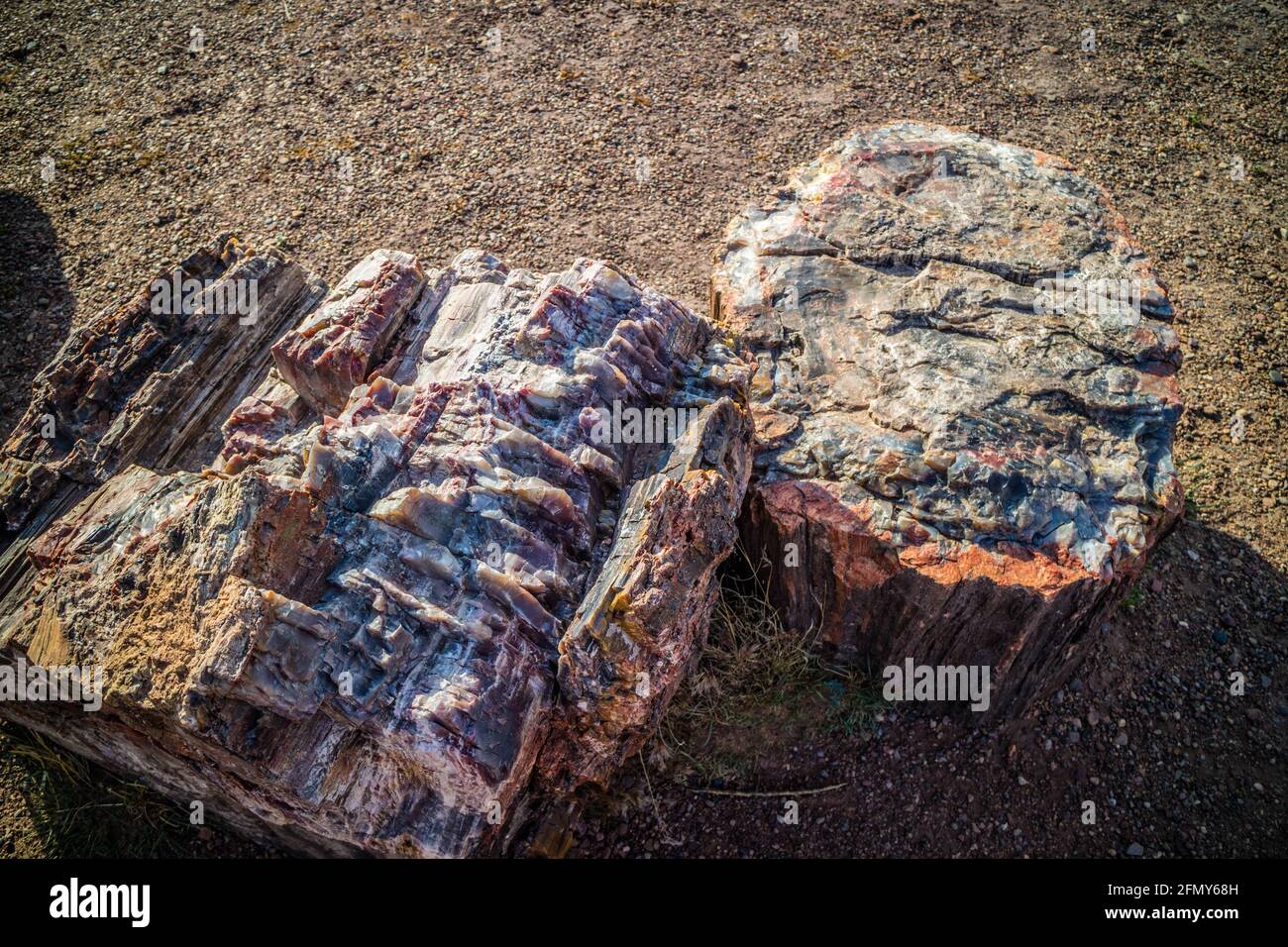 The Newspaper Rock in Petrified Forest National Park, Arizona Stock ...