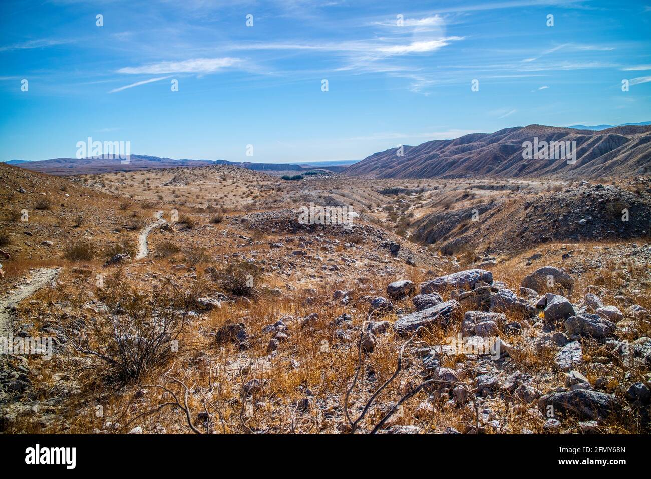 Thousand Palm Oasis Preserve Hike in Coachelle Valley at Palm Spring ...