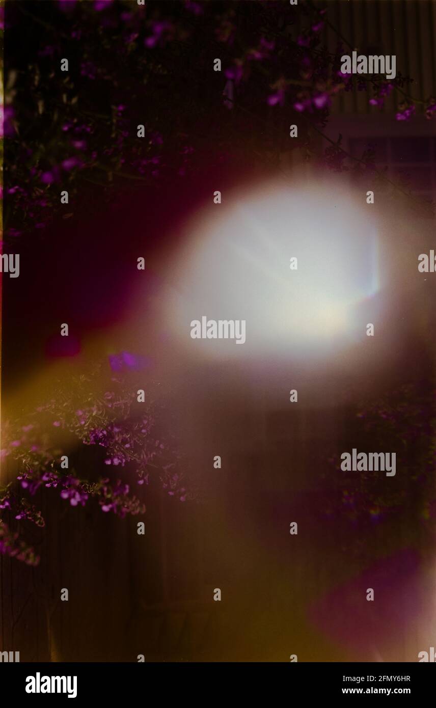 Film the color purple hi-res stock photography and images - Alamy