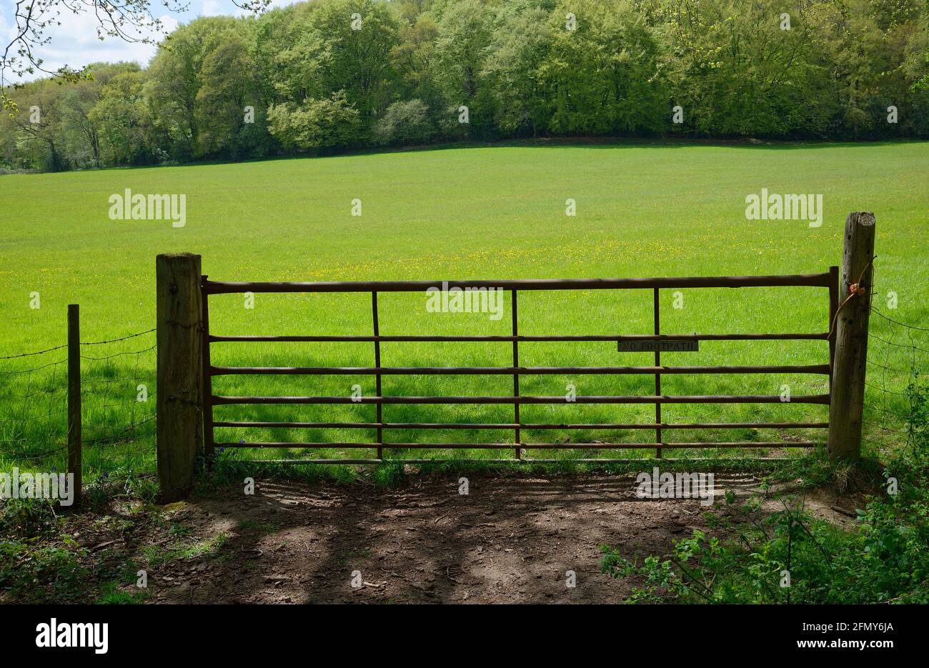 A field gate with a nice springtime view of woods and grassland with ...