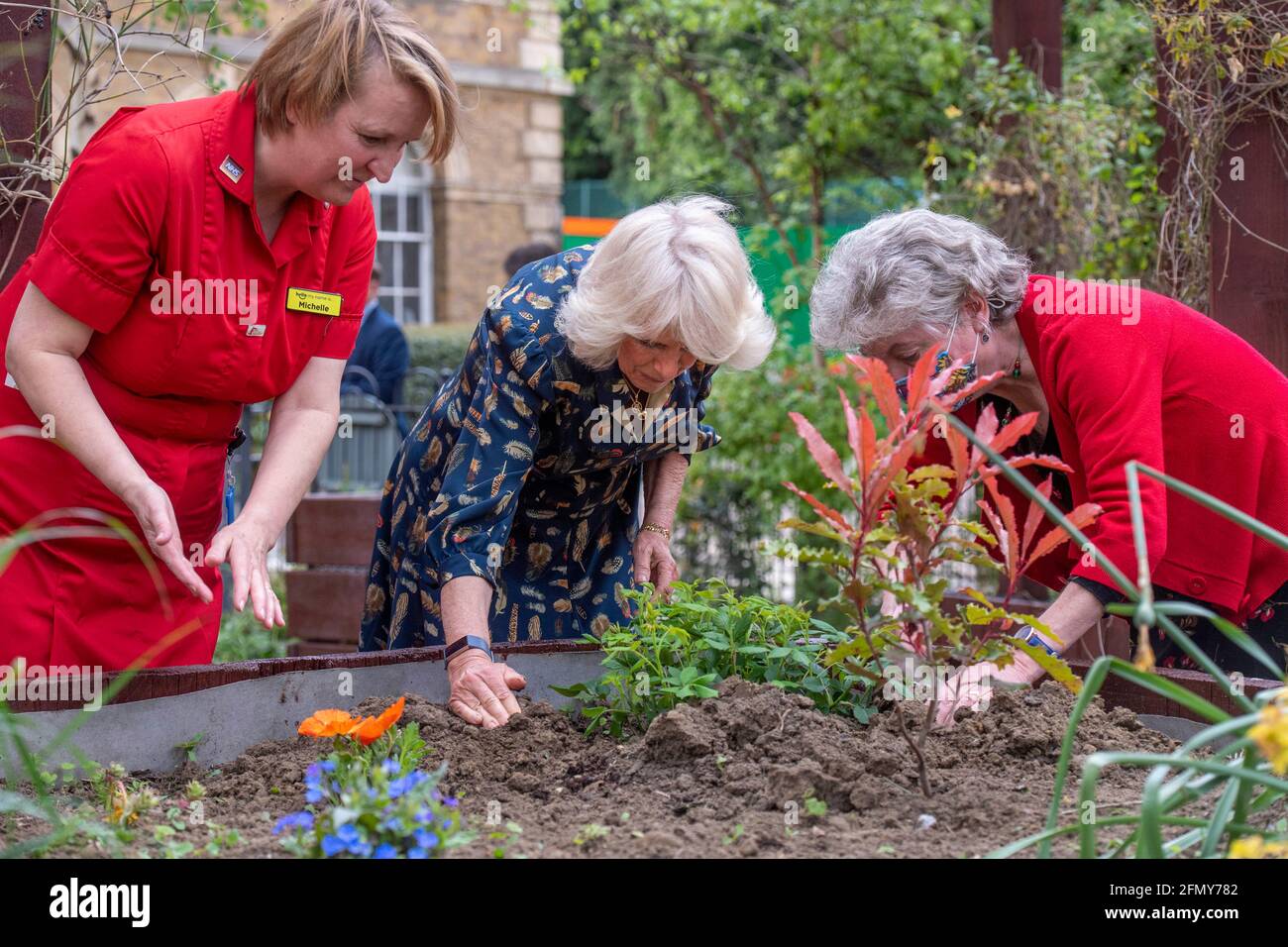 The Duchess of Cornwall helps to plant a shrub with Kate Green (right ...