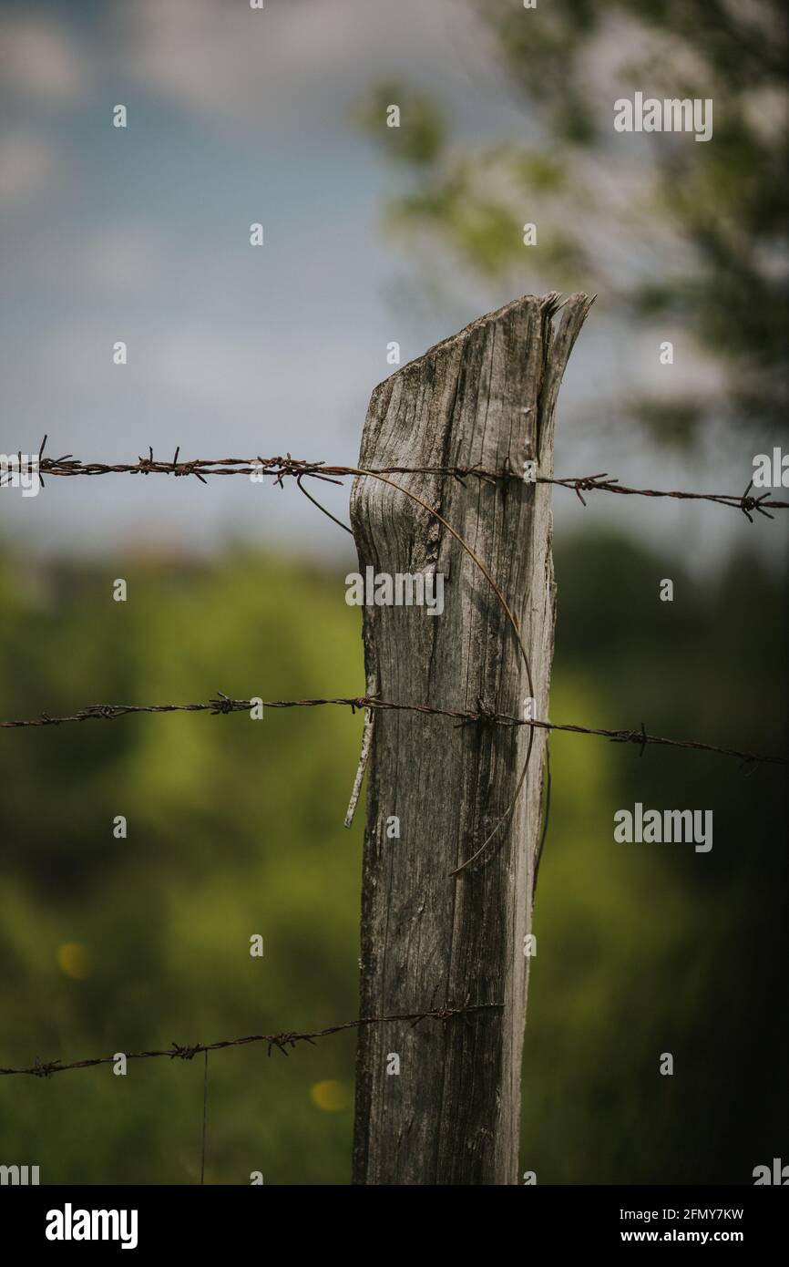 Barbed wire around tree hi-res stock photography and images - Alamy