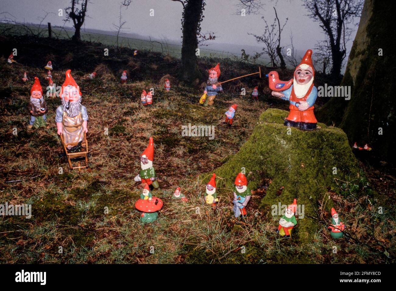 Plaster gnomes on the gnome reserve West Putford near Bradworthy Devon ...