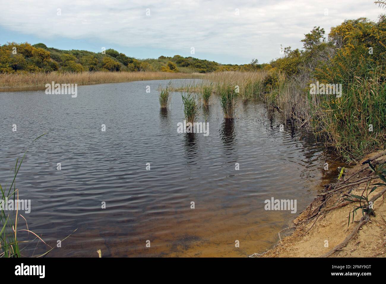 Southern Negev, view on river Evtah Stock Photo - Alamy