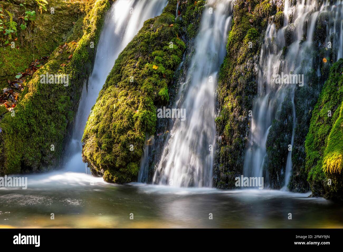 Caras severin hi-res stock photography and images - Alamy