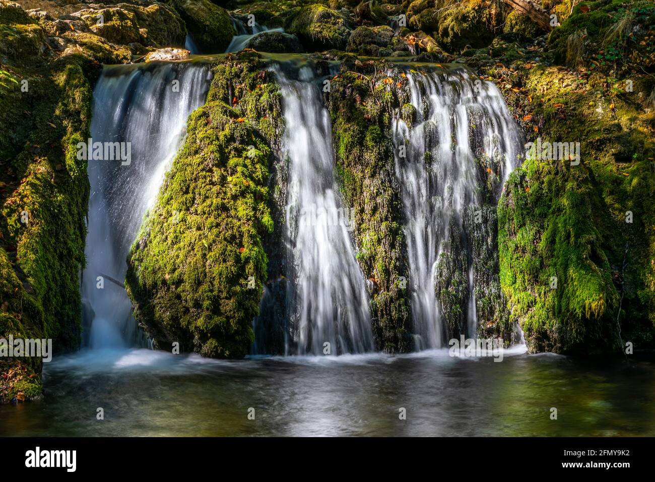 Caras severin hi-res stock photography and images - Alamy