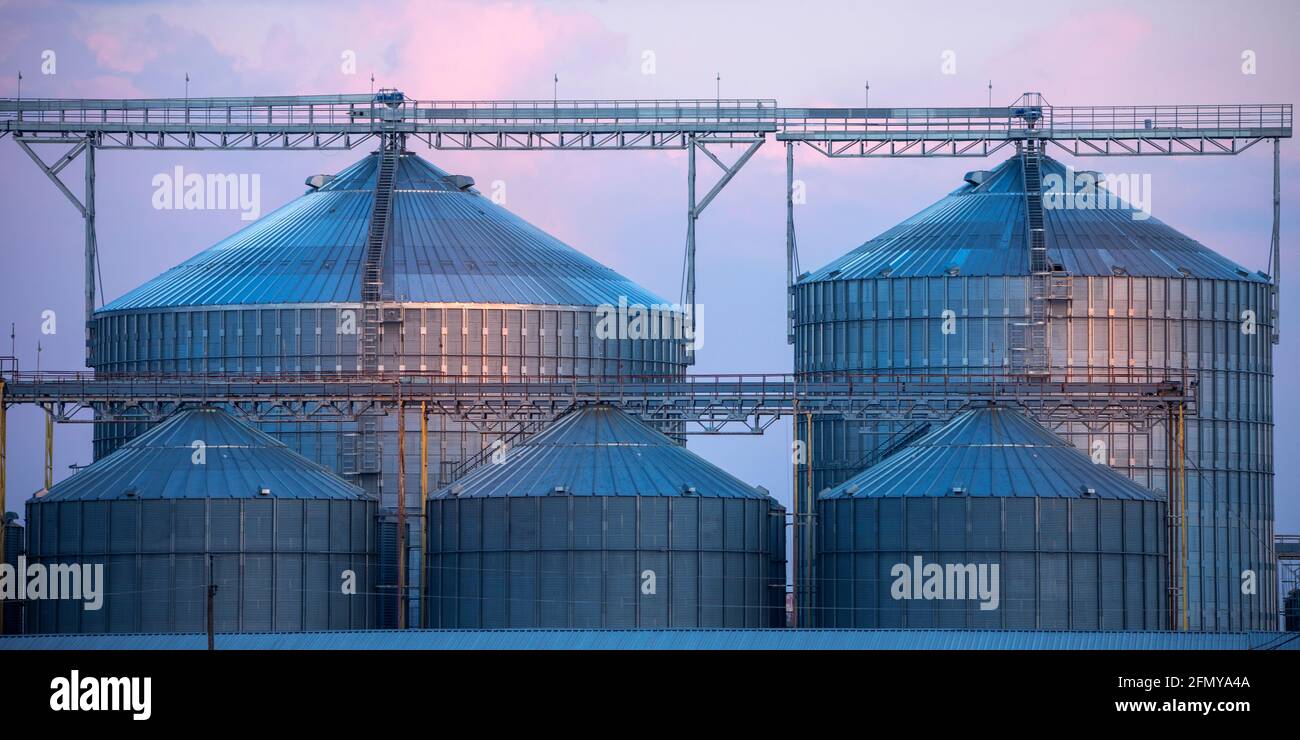 Large grain storage and drying complex on the background of the evening ...