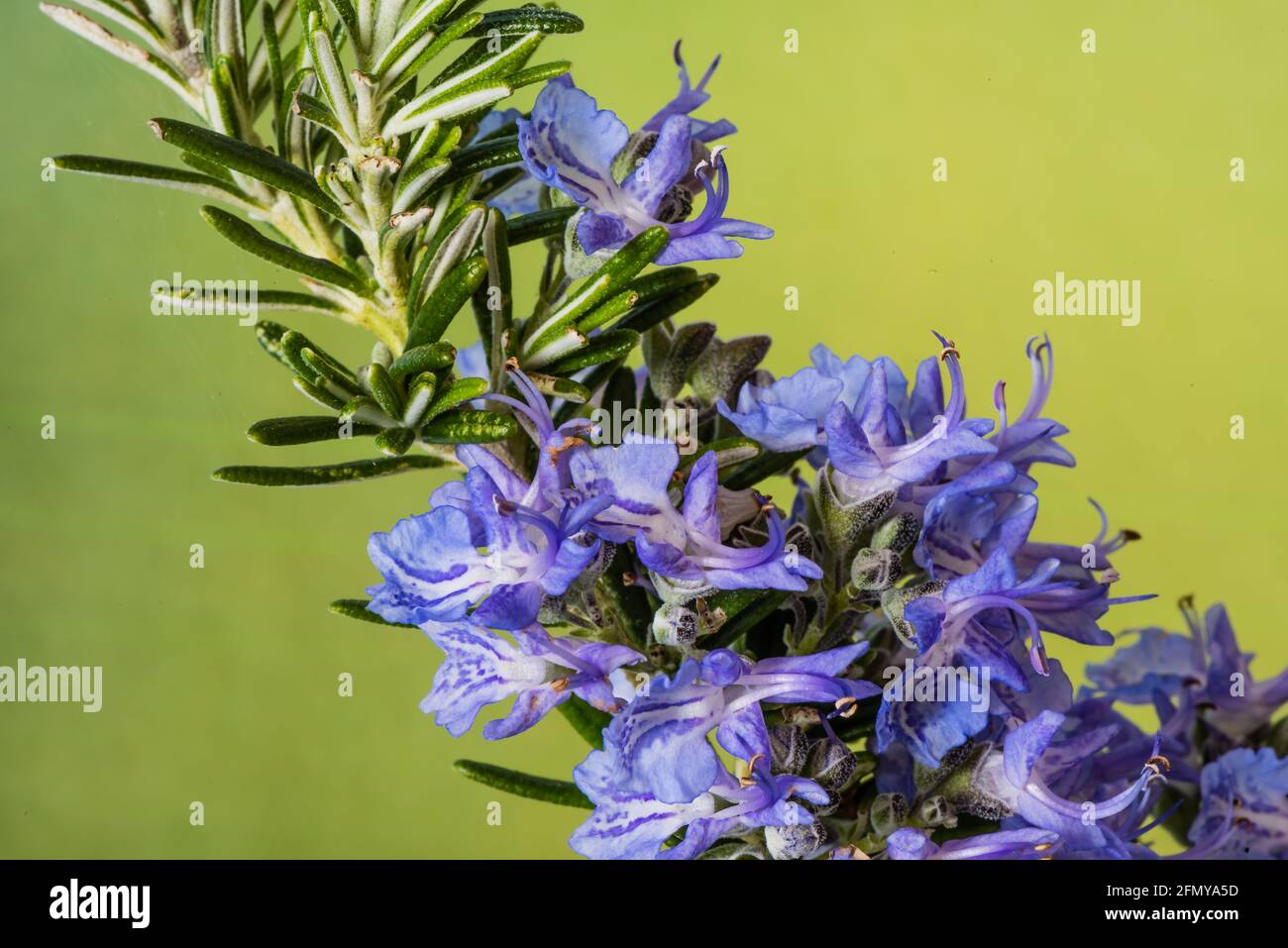 Pont du raz hi-res stock photography and images - Alamy