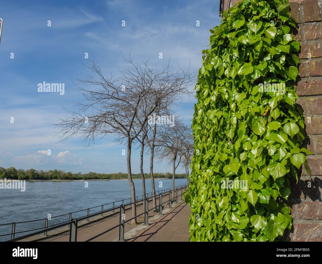 the city of rees at the river rhine Stock Photo - Alamy