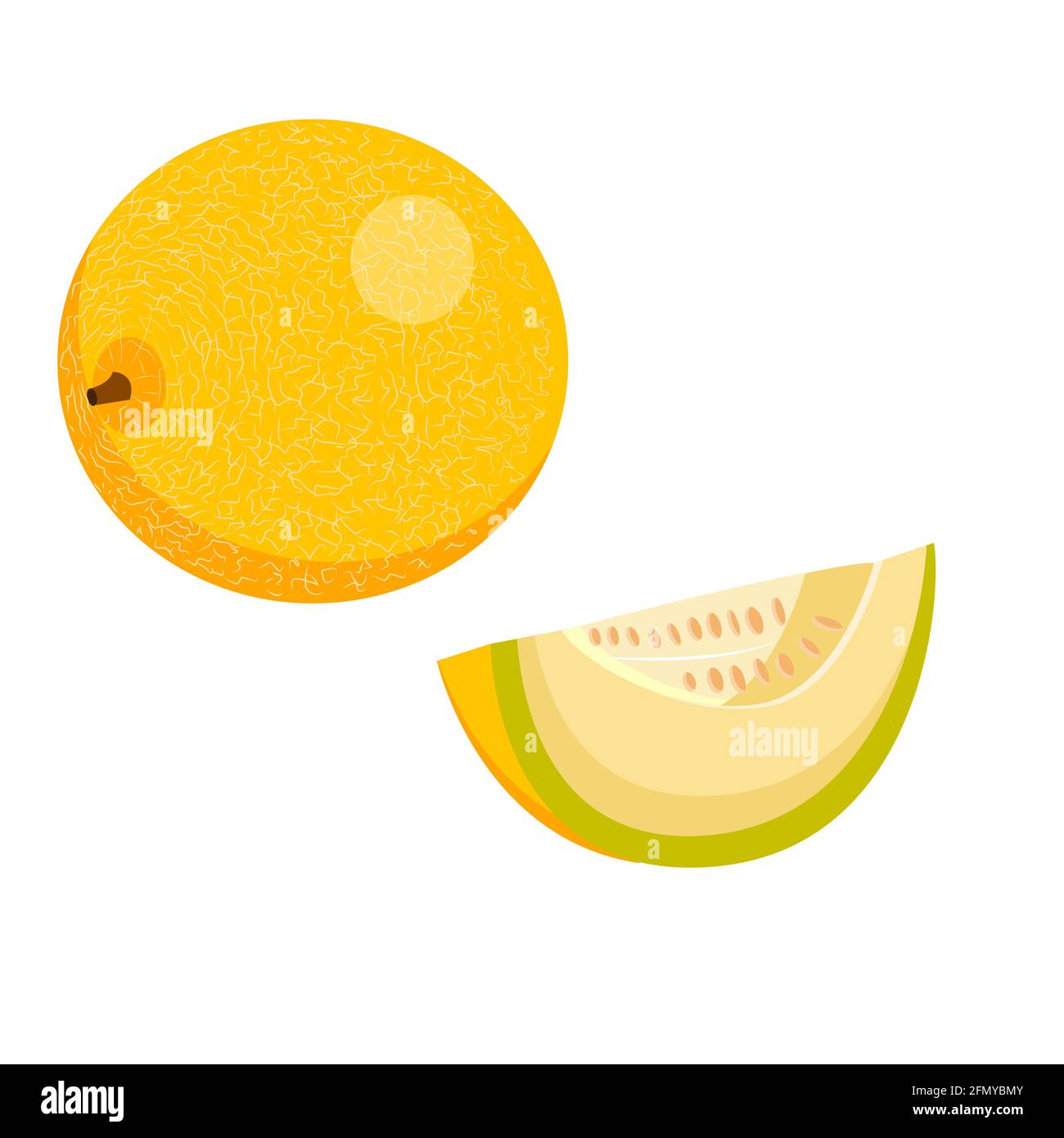 a melon, a whole round yellow melon, and half a melon. vector isolated ...