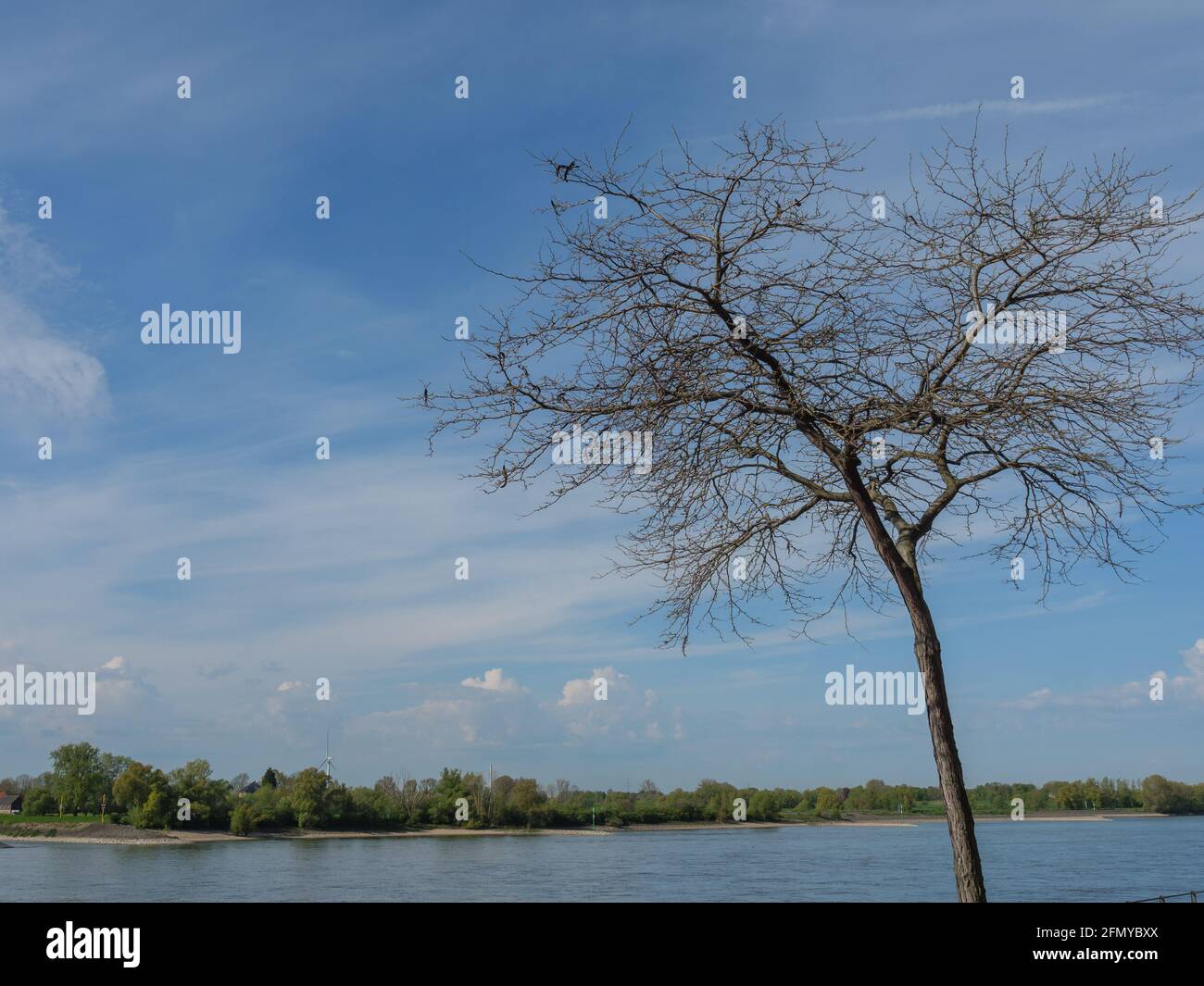 the city of rees at the river rhine Stock Photo - Alamy