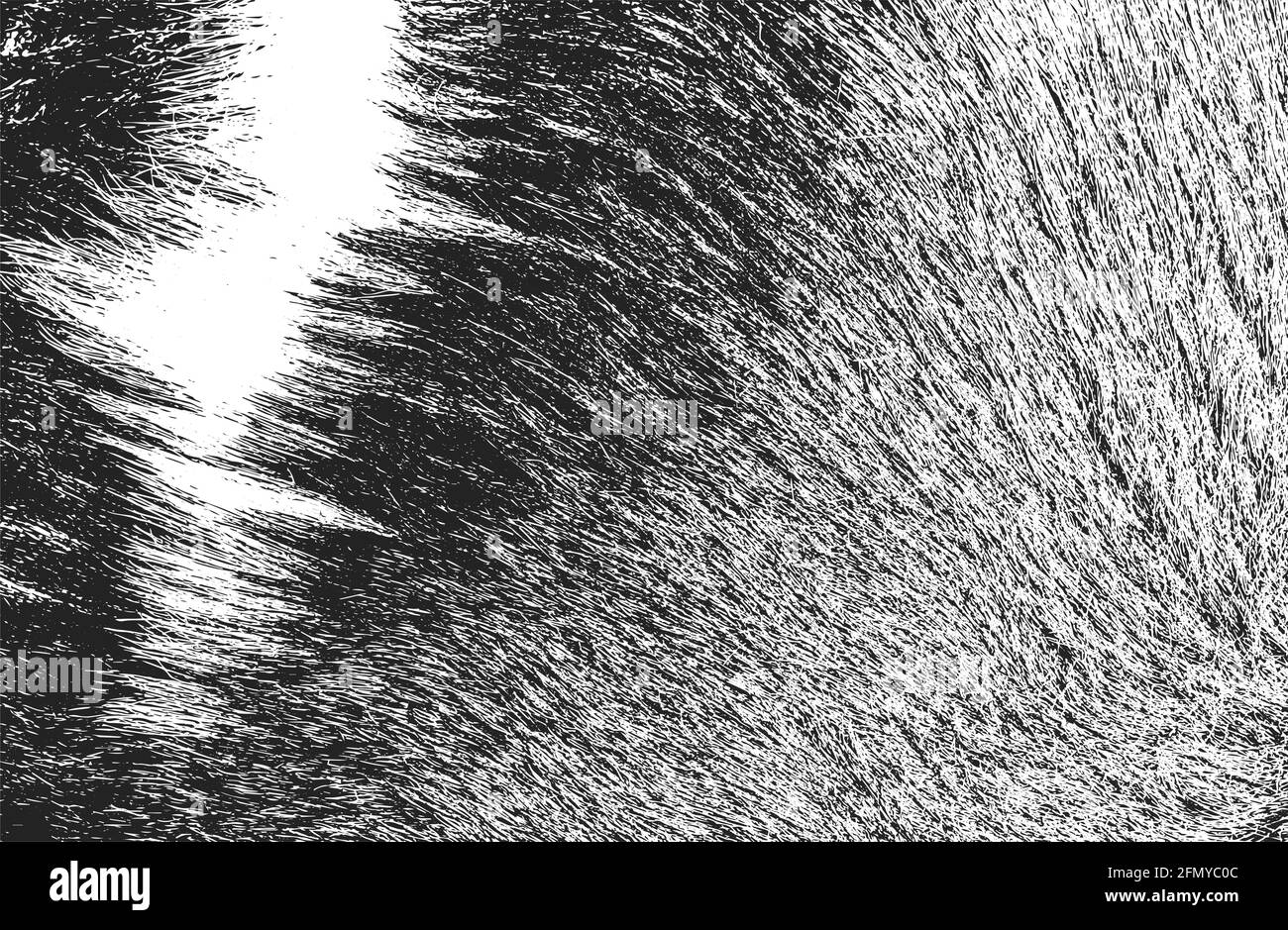 Distressed overlay texture of natural fur, grunge vector background ...