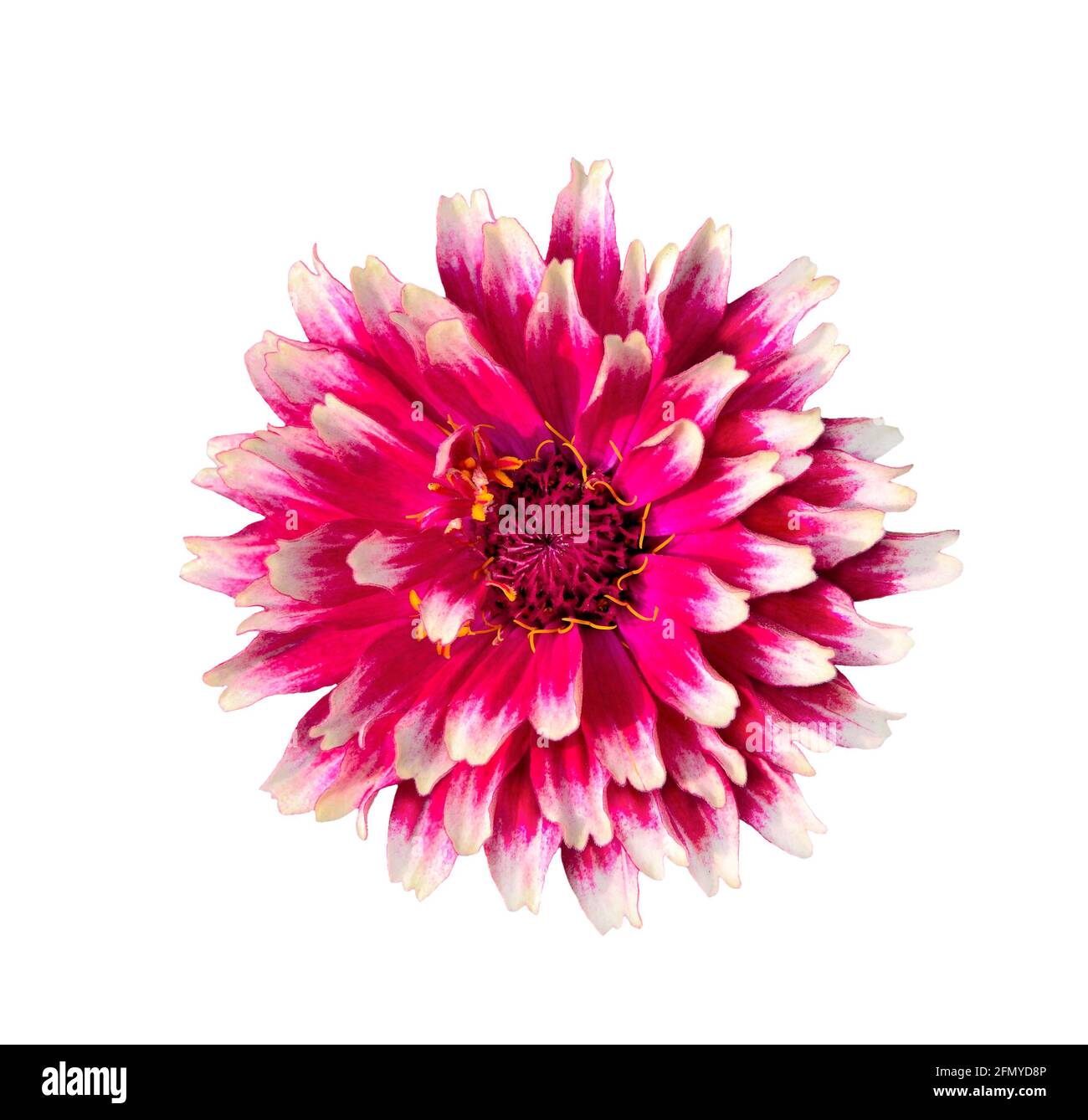 Fluffy edges Cut Out Stock Images & Pictures - Alamy
