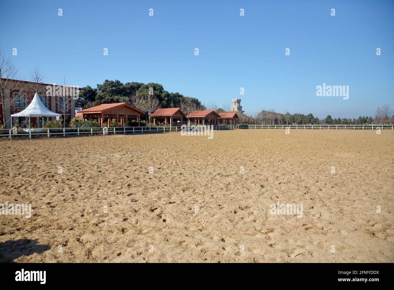 Horse stables . A large arena with sand for horses . Elite Horse and ...