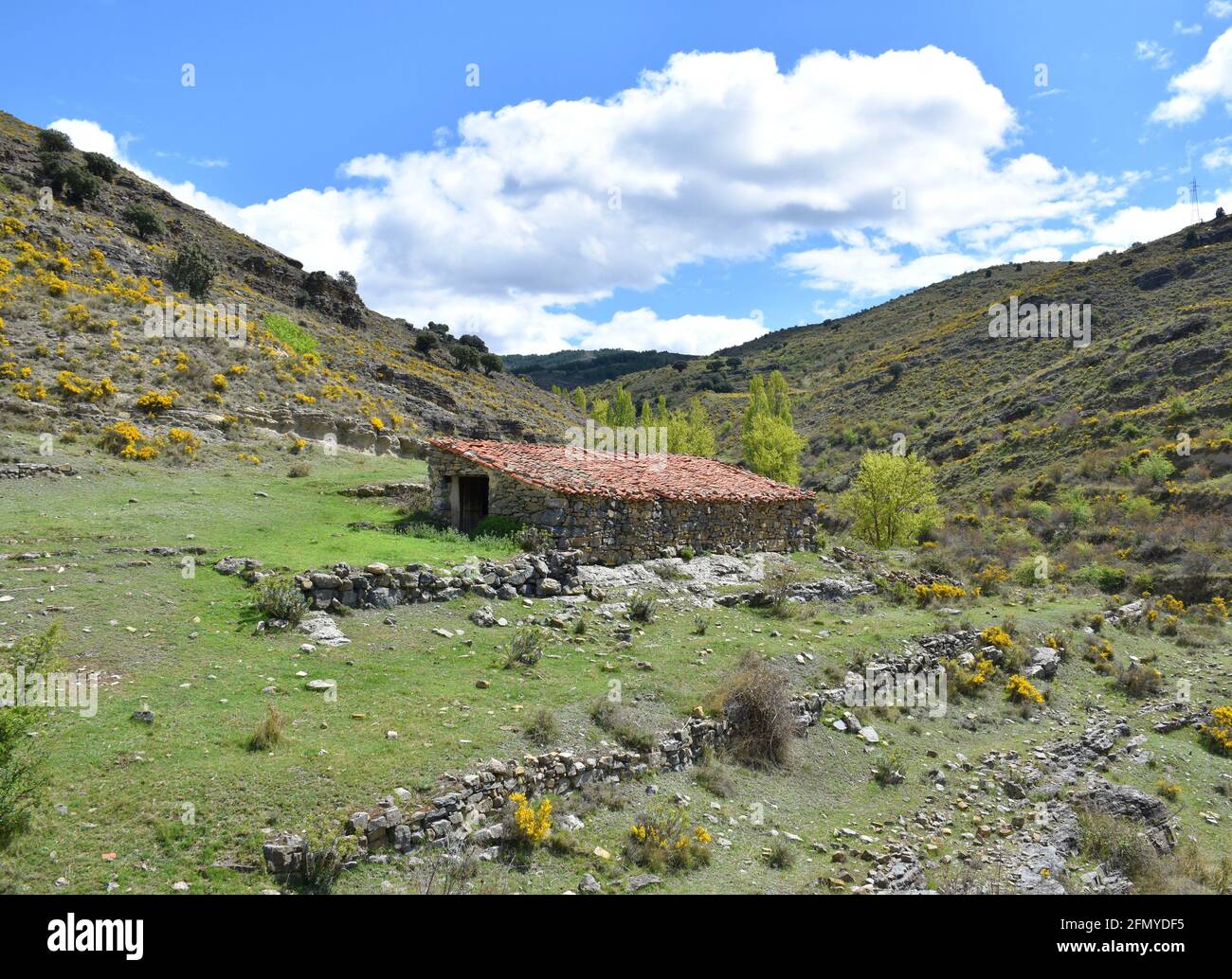 The old corral hi-res stock photography and images - Alamy