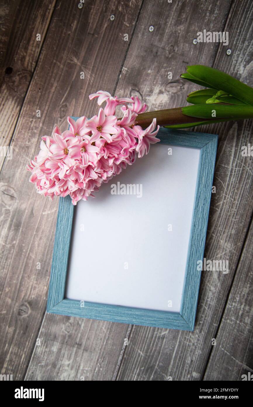 pink hyacinth flower and picture frame on wooden background Stock Photo ...