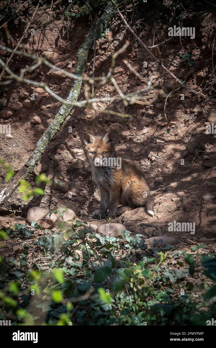 Explore your surroundings hi-res stock photography and images - Alamy