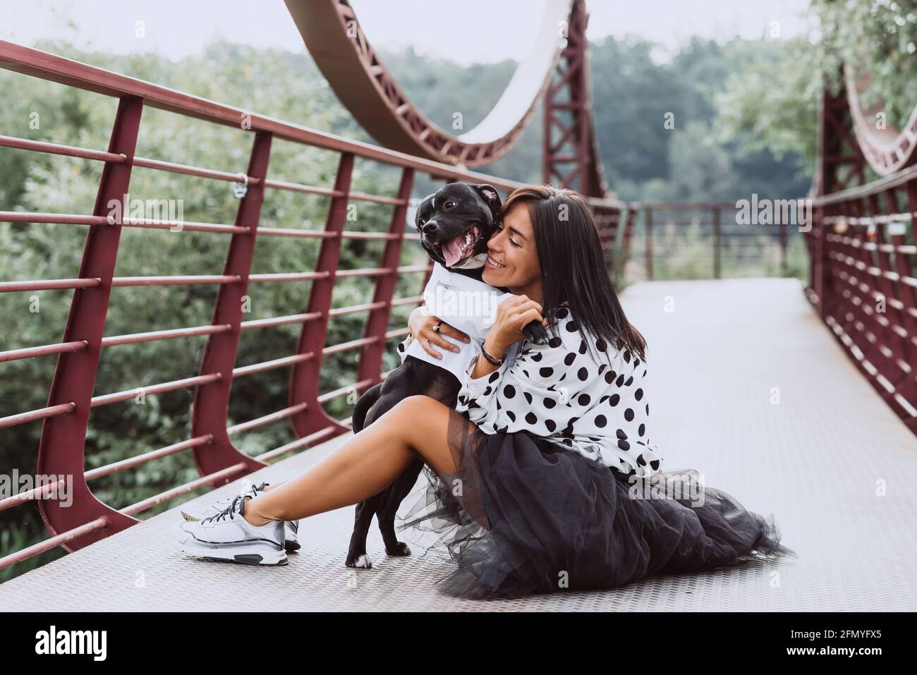 Cute staffordshire bull terrier dog hi-res stock photography and images ...