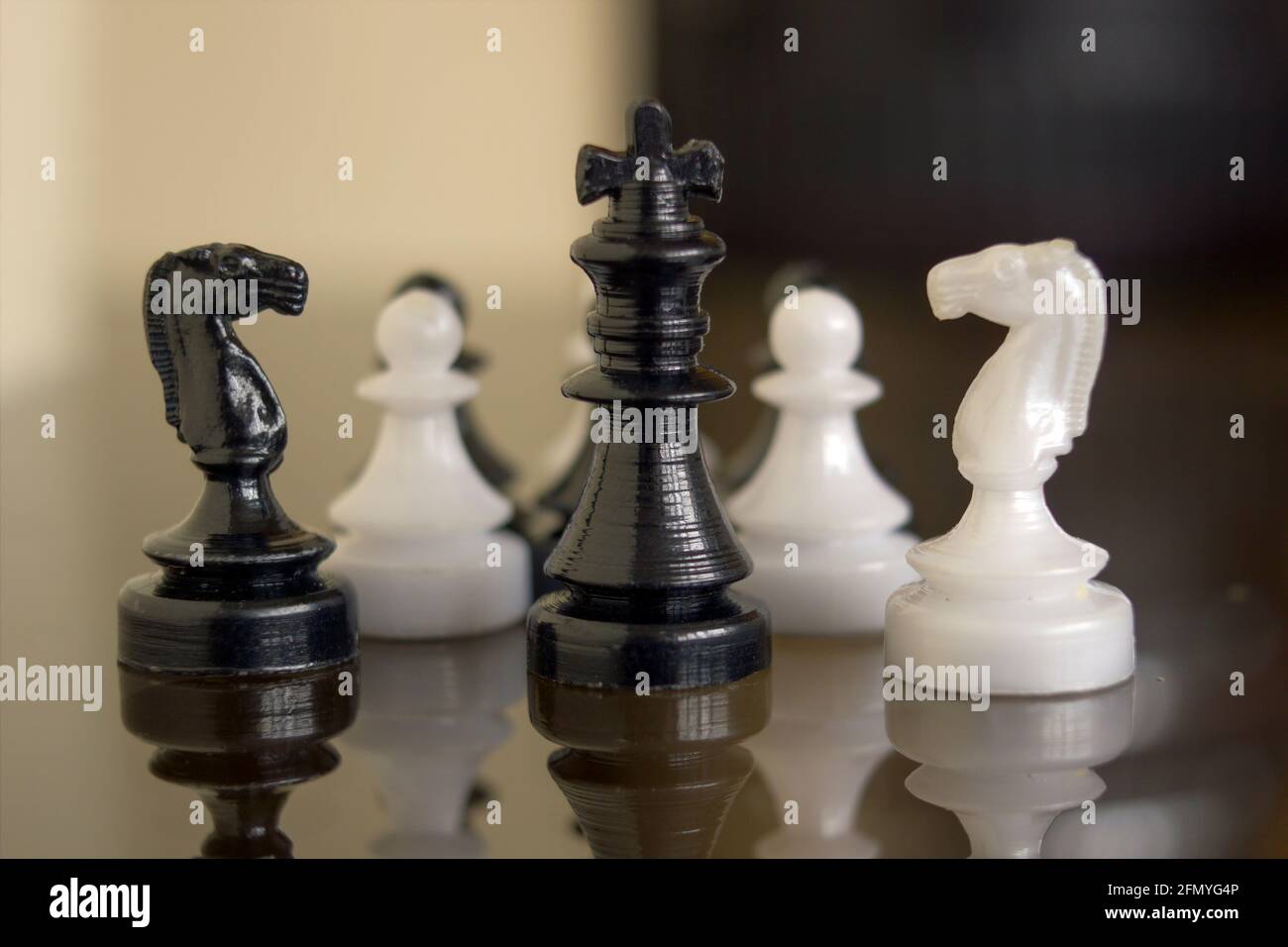 White and black horse chess icon and black king chess standing with it ...