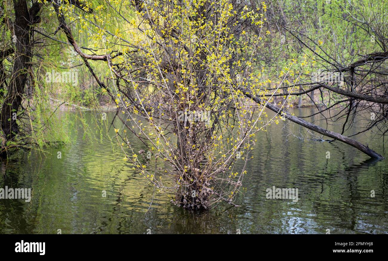 Bor Lake (Borsko jezero), an artificial lake in eastern Serbia near the ...