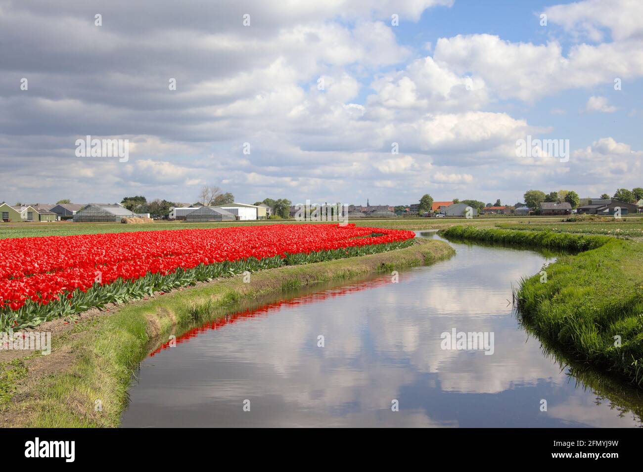 A bit of Netherland colors and Landscape Stock Photo - Alamy