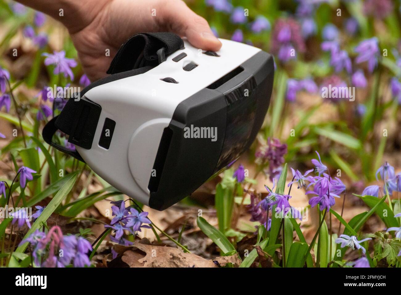 Hand holding 3D Virtual reality headset glasses in spring purple wild ...