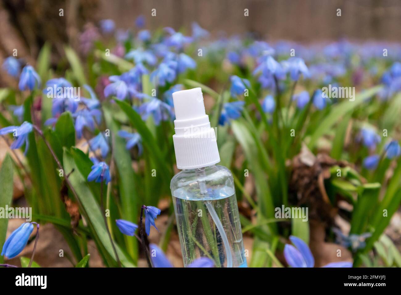 Trigger flower hi-res stock photography and images - Alamy