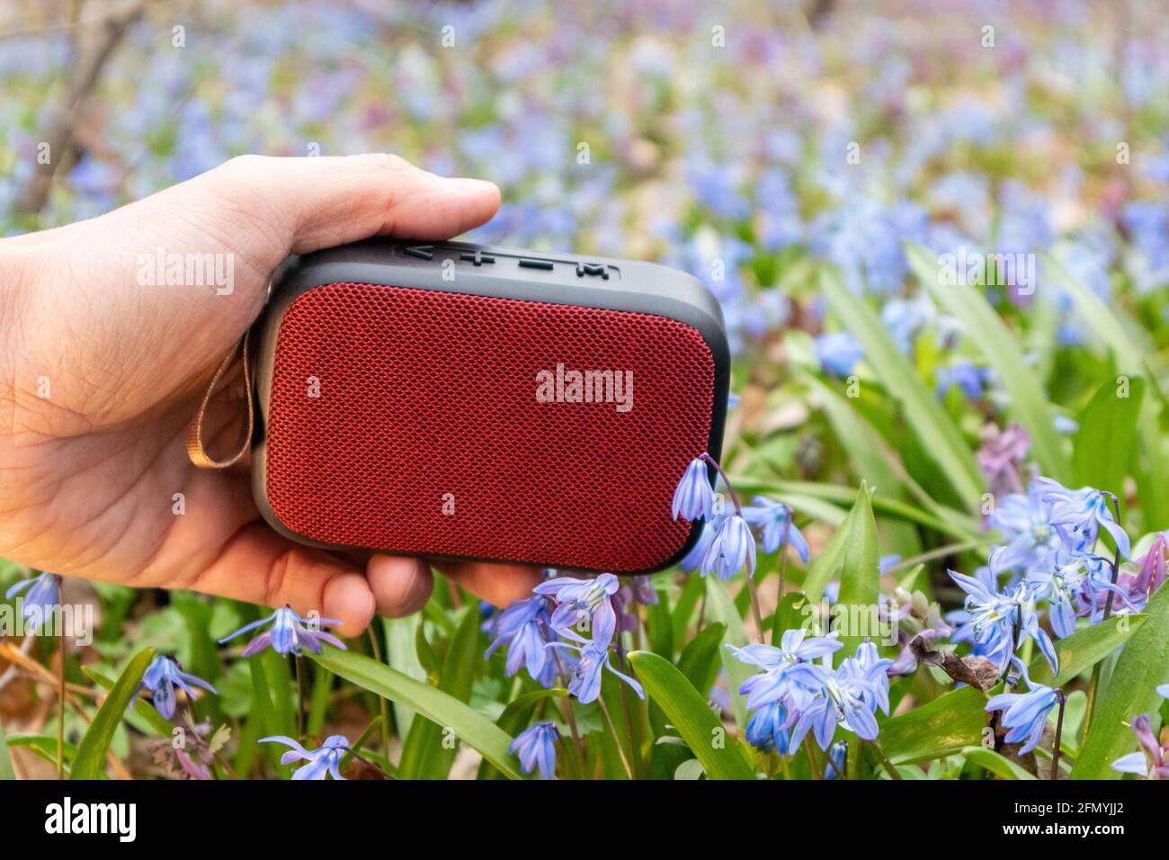 Red and blue flowers hi-res stock photography and images - Alamy